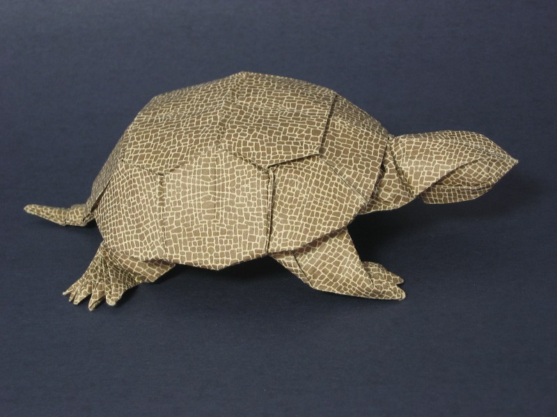 Search a diagram from a turtle - The Origami Forum